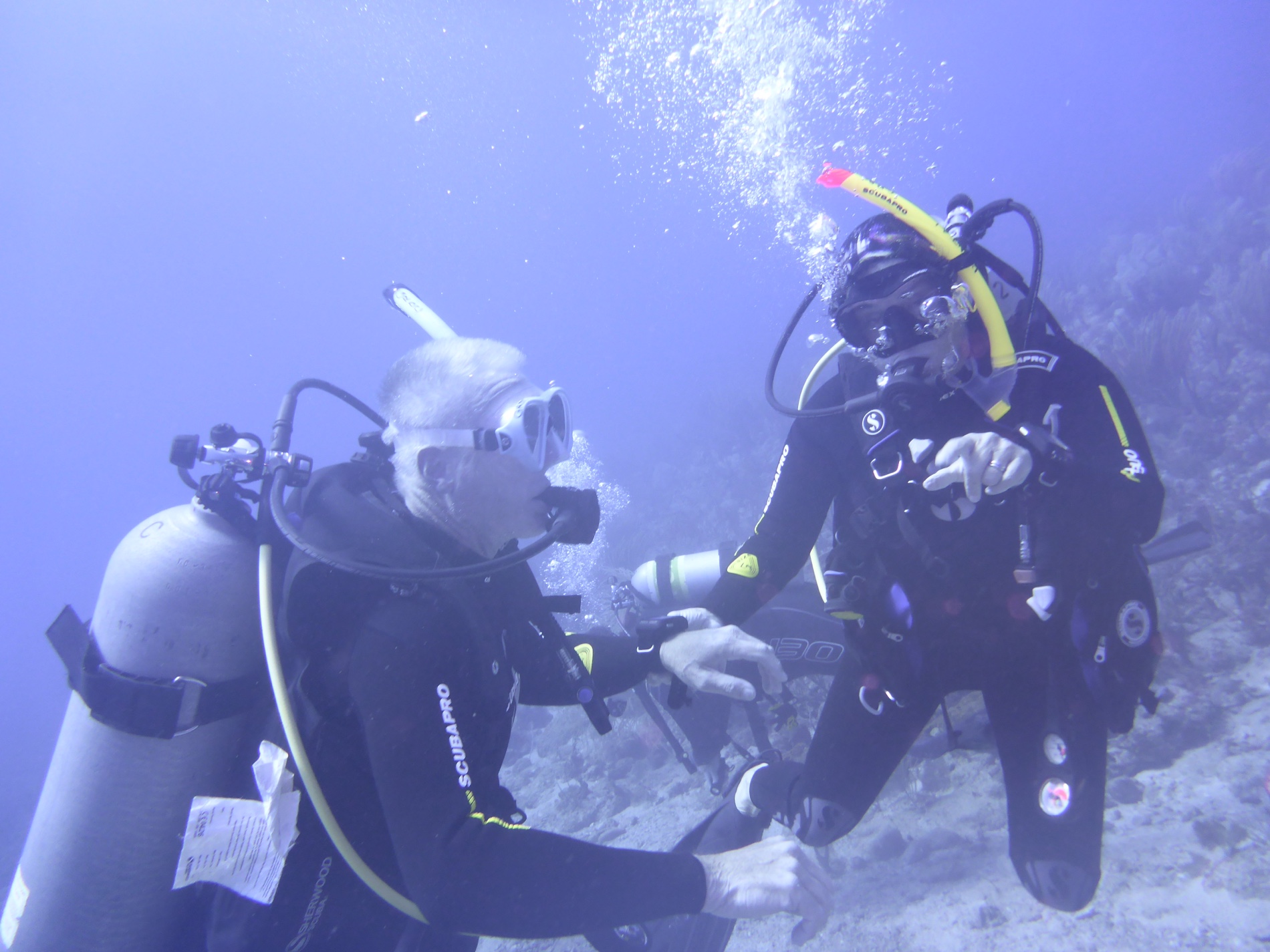 Deeper in Statia – SV Fayaway