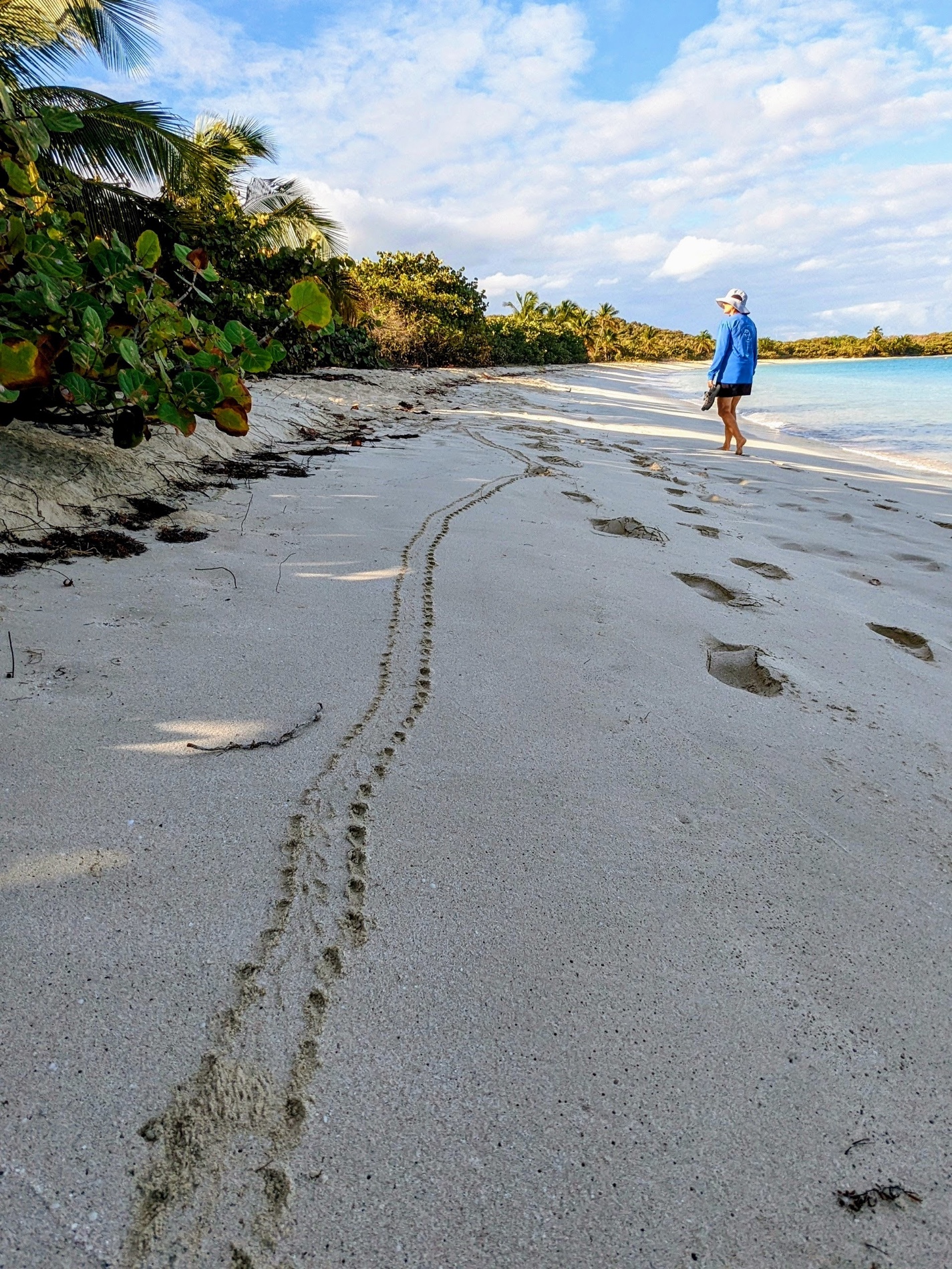 Culebrita Deja Vu – SV Fayaway